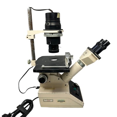Swift Instruments T186544 Inverted Microscope w/ Eyepieces, 4X 10X 20X ...