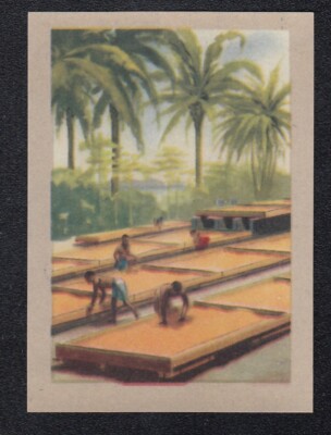 Vintage 1948 "OUR CONGO" Belgian Trade Card LUKOLELA | eBay