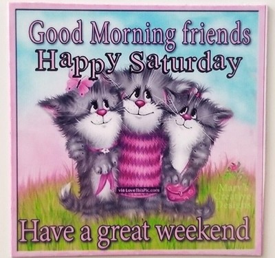 Good Morning Friends Photo