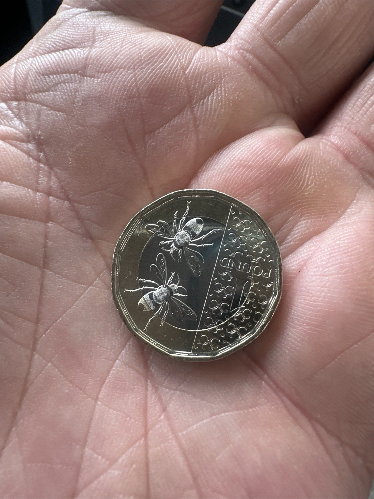 Rare £1 Coin Wasp Defect Error 1 Pound Coin Free UK Post | eBay UK