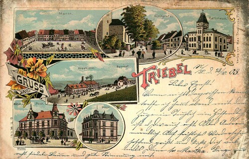Postcard 6 Views of Triebel, Germany - used in 1903 | eBay