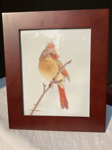 Wood Framed Beautiful Bird Picture Signed Toni Maple | eBay