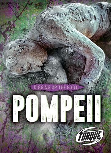 Emily Rose Oachs Pompeii (Hardback) Digging Up the Past 9781644870693| eBay