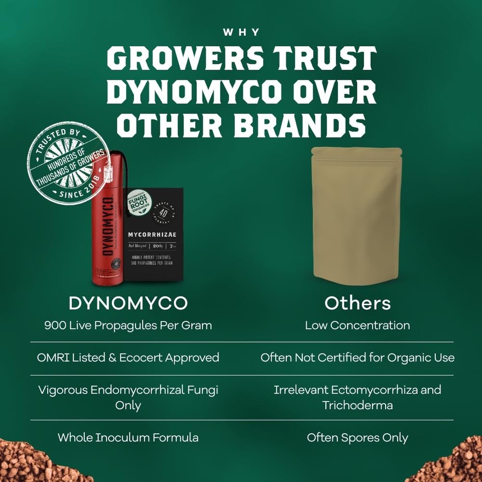 Granular Mycorrhizal Fungi Inoculant, 200g / 7oz – Boosts Root Growth ...