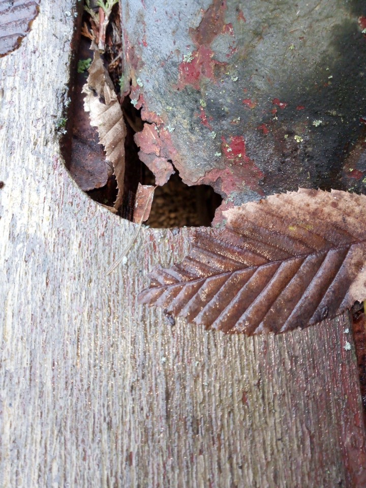 VW Caddy Pickup MK1 Project Tax MOT Exemption Classic Barn Find | eBay UK