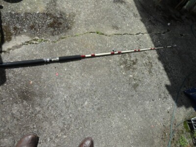 Big Game Rods - Senator 4 0