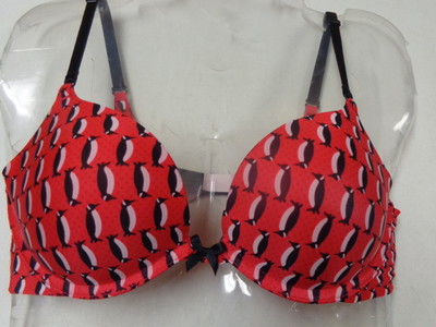 VICTORIAS SECRET PUSH UP RED PENGUIN PRINT UNDERWIRE BRA 32C EUC | eBay