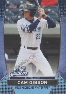 2016 West Michigan Whitecaps Cam Gibson RC Rookie Detroit Tigers | eBay