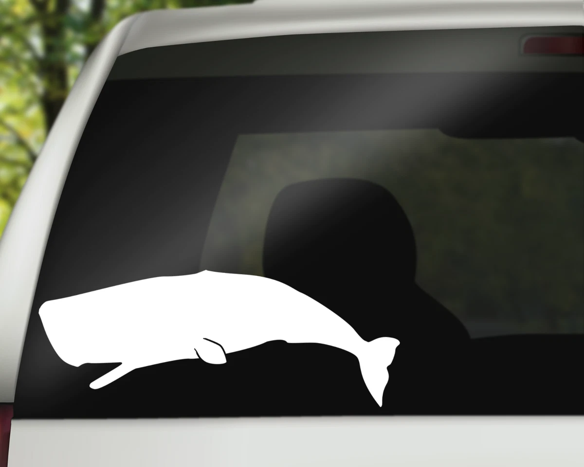 Whale Sticker For Car