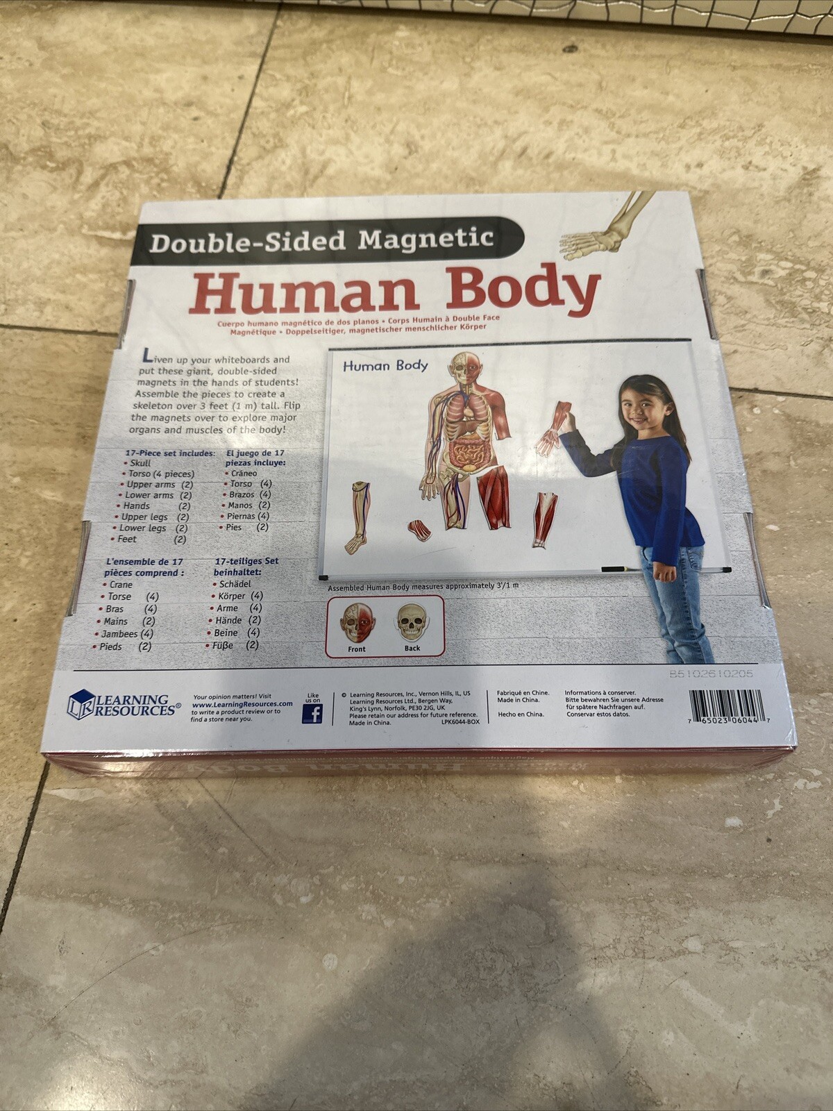 Learning Resources Double-sided Magnetic Human Body LER6044 for sale ...