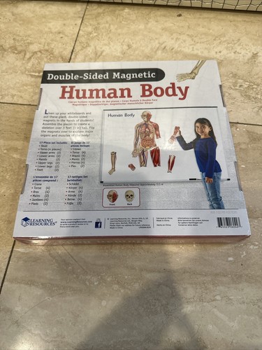 Learning Resources Double-sided Magnetic Human Body LER6044 for sale ...