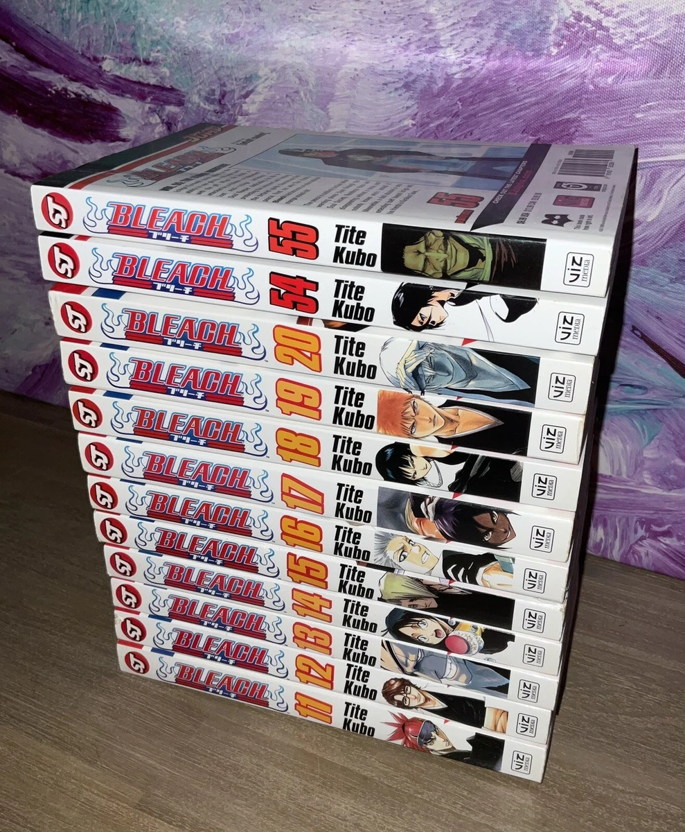 Bleach Manga Cover 55