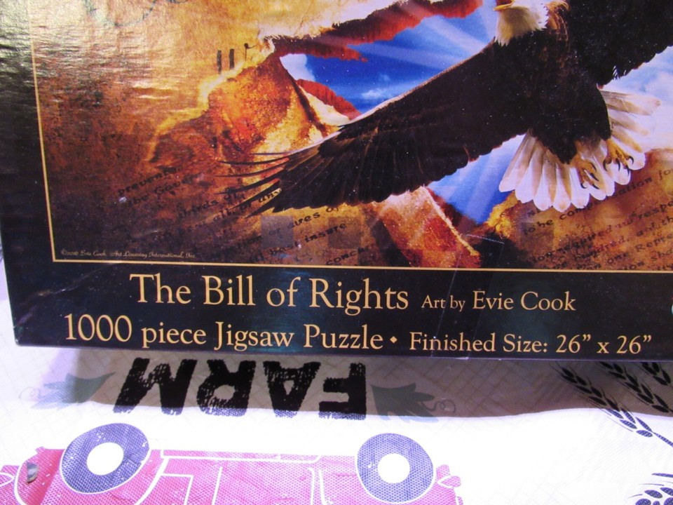 Bill of Rights Jigsaw Puzzle - 1000 Pieces - Suns Out Brand -Evie Cook ...