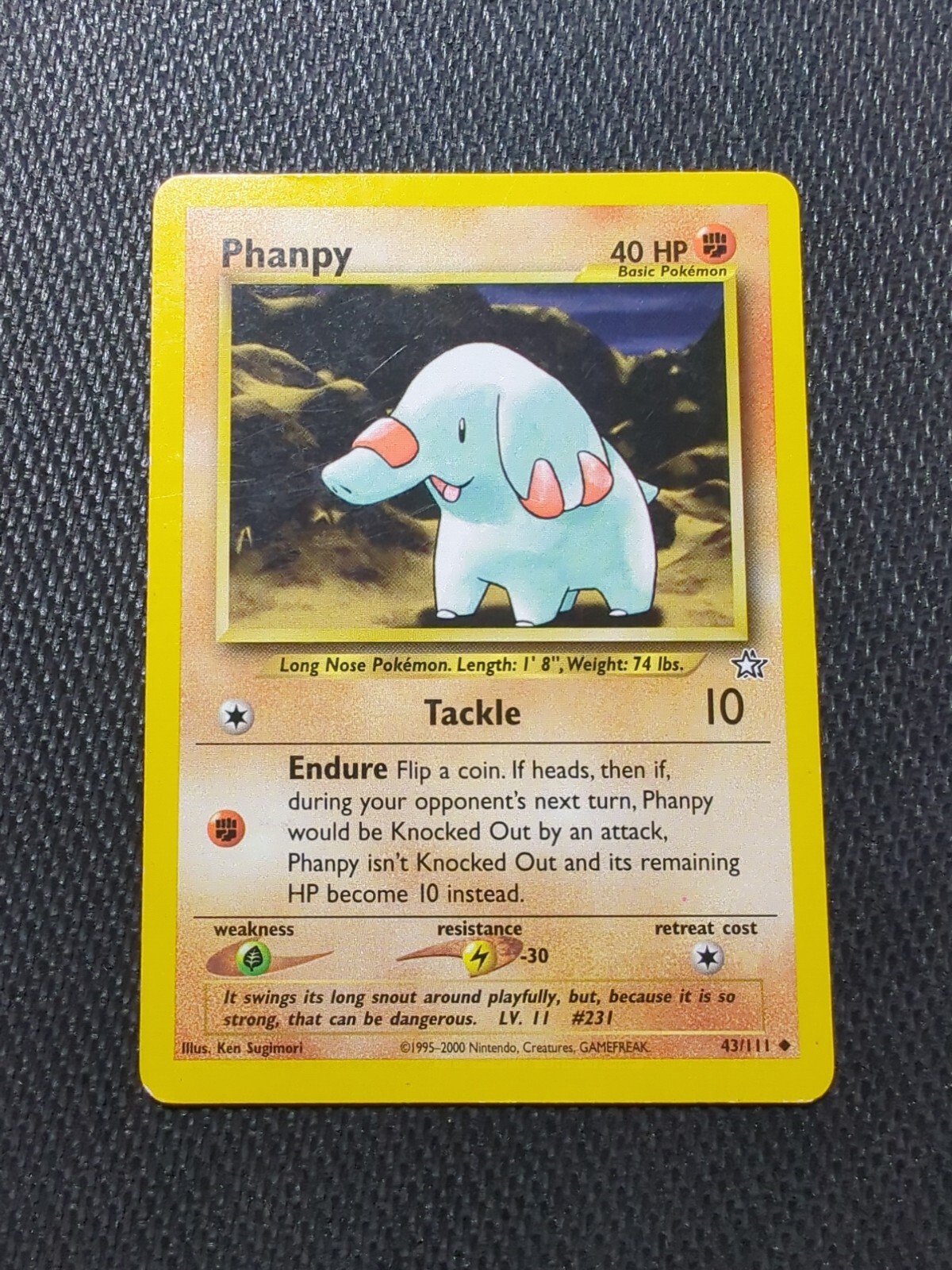 Pokémon TCG Phanpy Neo Genesis 43 Regular Unlimited Uncommon | eBay