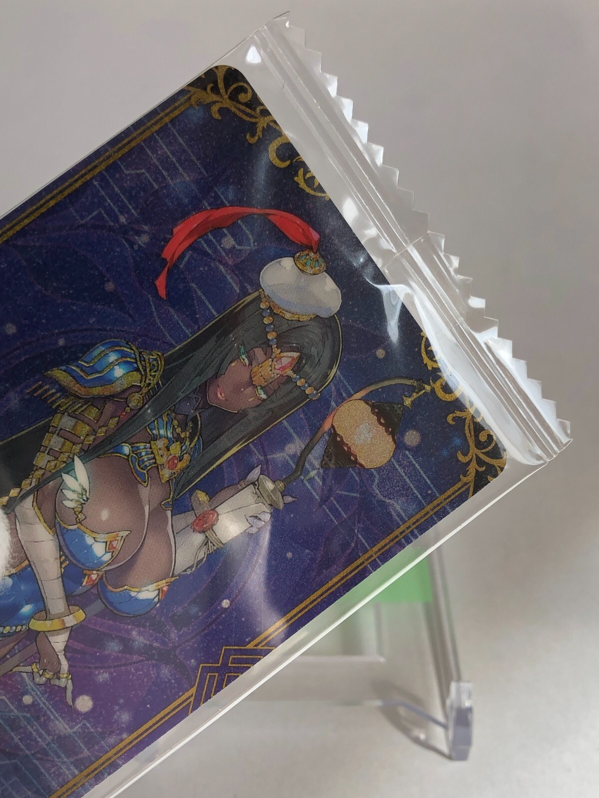 Caster of the Nightless Castle FGO PROJECT Wafer Card R 17 Type-moon ...