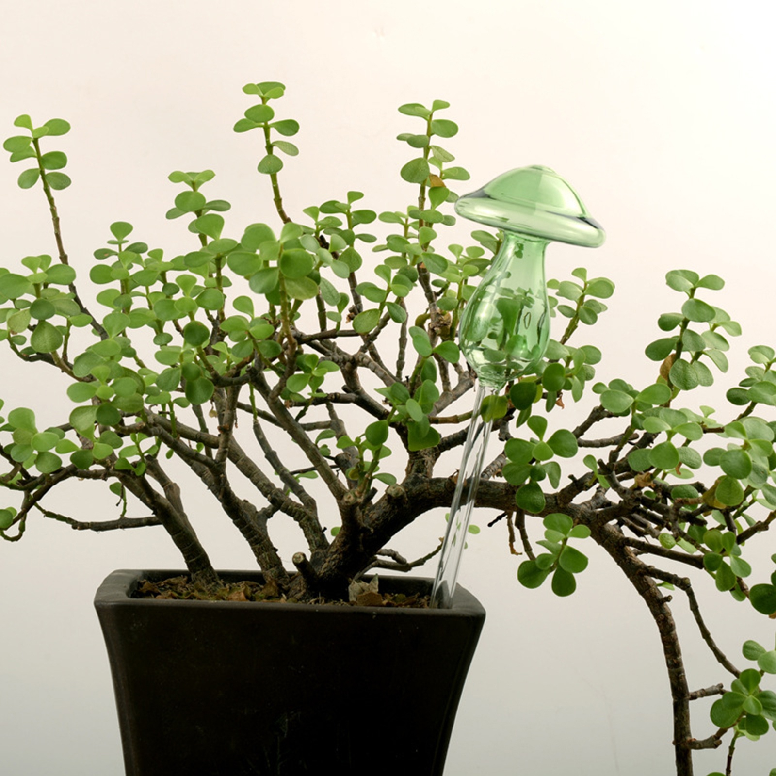 Plant Watering Bulb Reusable Adorable Potted Automatic Water Device T ...