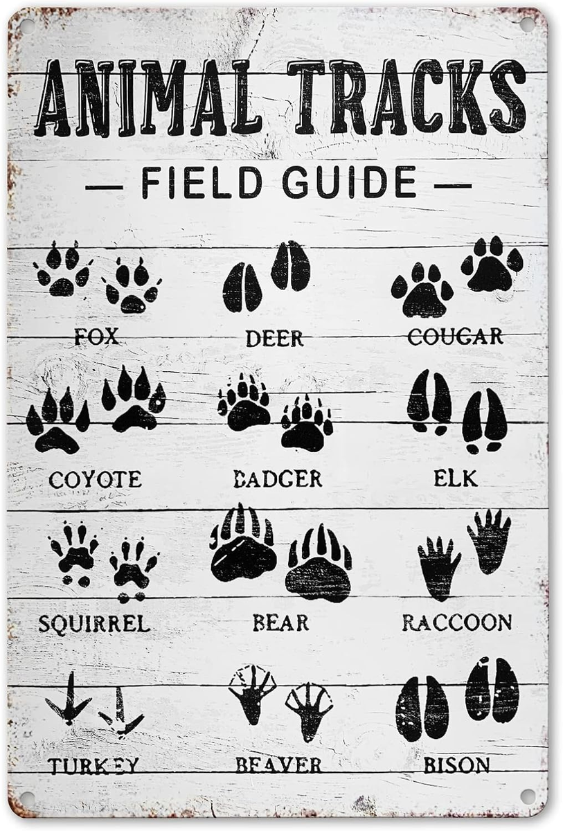 Animal Tracks Identification Chart
