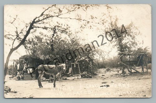 Slaughter Ranch Arizona RPPC Douglas AZ Rare Antique Donkey Photo 1910s ...