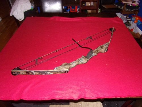 Pro Sport Archery Shadow Powerflex Carbon Compound Bow | eBay
