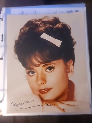 DAWN WELLS Signed Autographed 8x10 Photo | eBay
