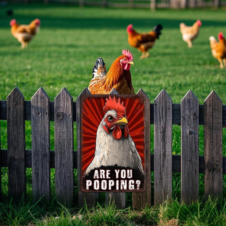 Funny Chicken Signs Farmhouse Chicken Coop Fresh Eggs Aluminium Tin ...