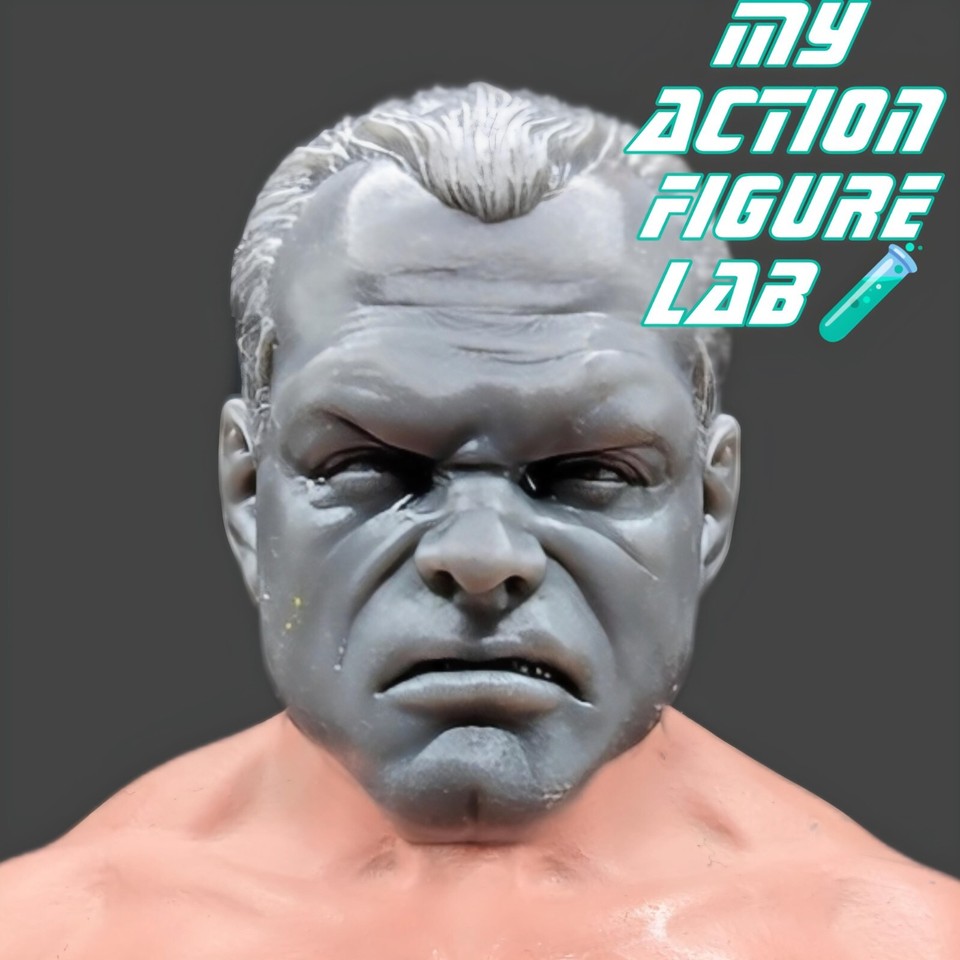 Chris Benoit 3D Printed Custom Head Sculpt WWE Elite WCW Unpainted | eBay