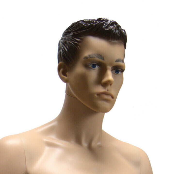 Male head for displaying full body mannequins, Life size head (no neck ...