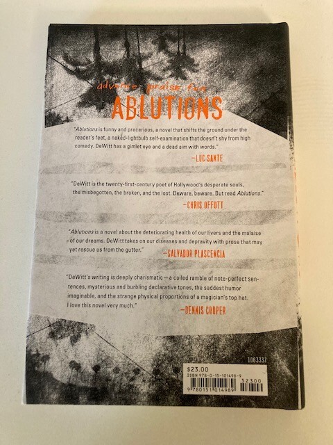 Ablutions by Patrick deWitt (2009, Hardcover) for sale online | eBay