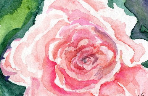 Original ACEO Pink Rose Watercolor Painting art by Sharon Foster | eBay