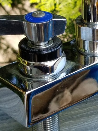 ENCORE SANIGUARD PLUMBING SINK FAUCET | eBay