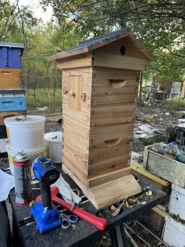 Auto Seep Mini Beehive Wood Beekeeping Hives Boxes Houses 10x Bee Hive ...