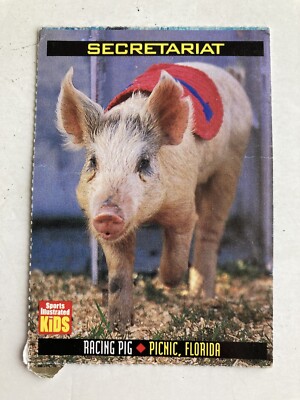 Sports Illustrated for Kids Secretariat Racing Pig Card | eBay