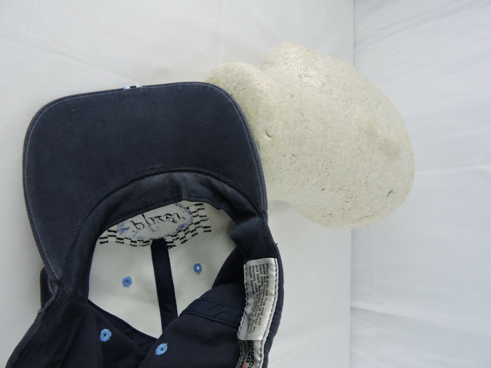 Pfizer Racing Team Ball Cap Blue Trucker Hat Snap Back 6 Mark Martin ...