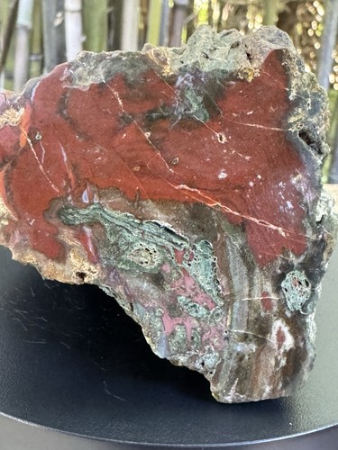 Polished Green Red Jasper Replaced Petrifried Wood Hampton Butte ...