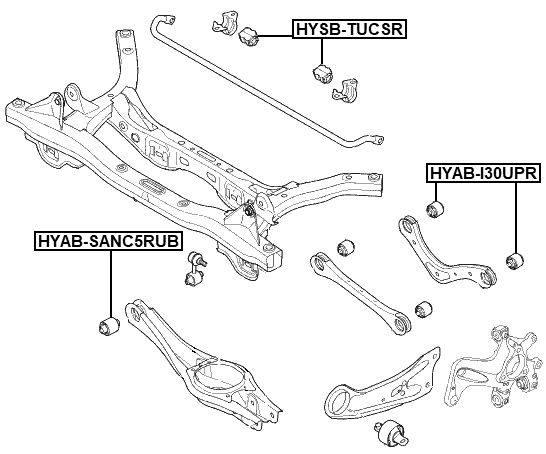 Rear Transverse Rod Bushing For Kia 55100-G2100, 55100-G4Aa0, 55101 ...