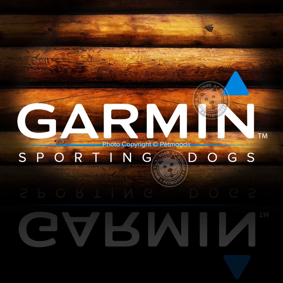 Garmin 4 GB microSD Class 4 Memory Card with SD Adapter Included | eBay