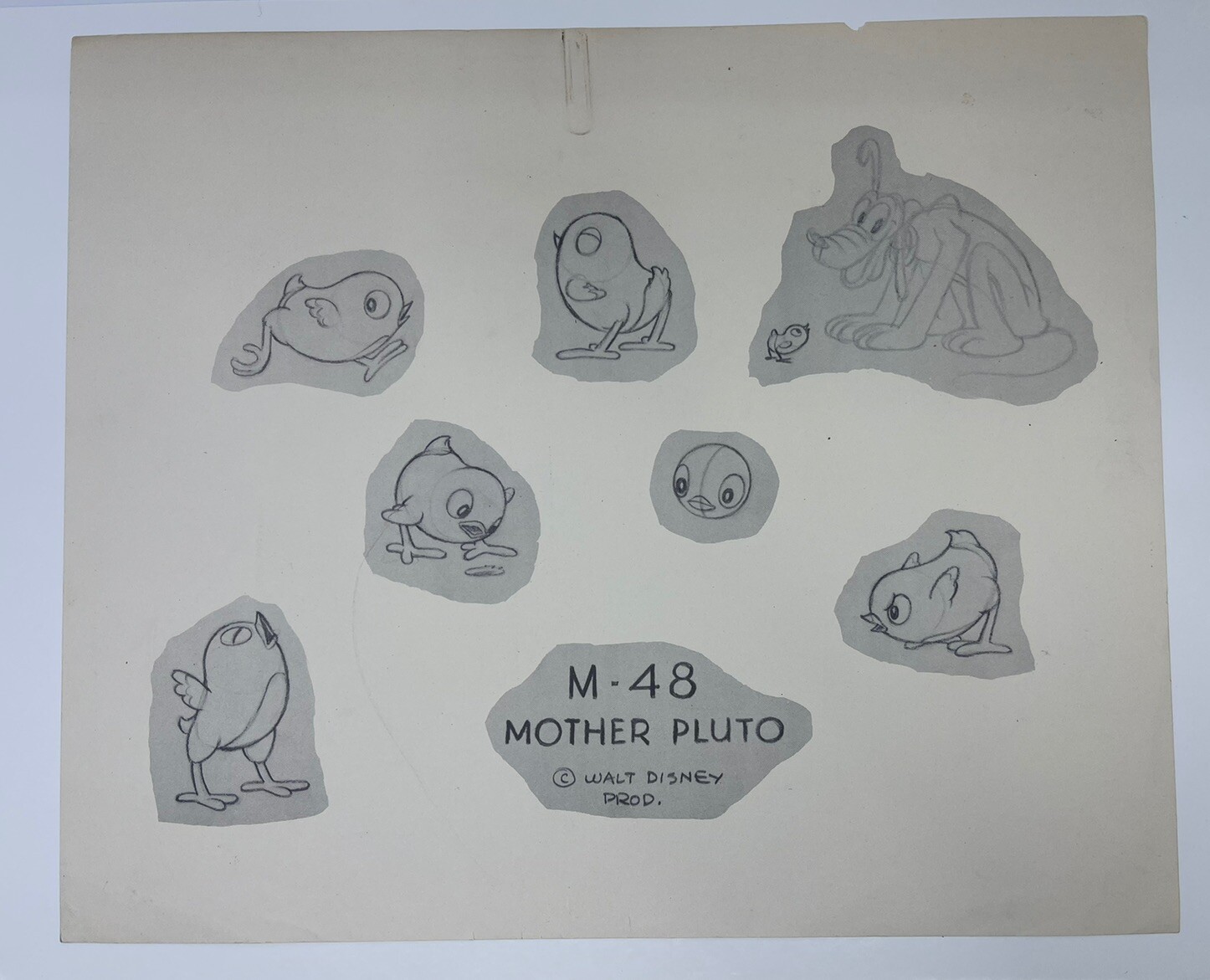 Animation Model Sheet 1936 Walt Disney Silly Symphonies Mother Pluto Chick RARE | eBay