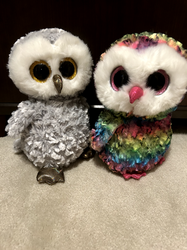 Ty Beanie Boos 9" Owlette and Owen Plush Owls MWMT | eBay
