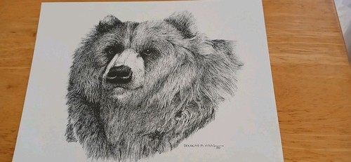 Vintage Douglas M HAAG Grizzly Bear Wildlife Print | eBay