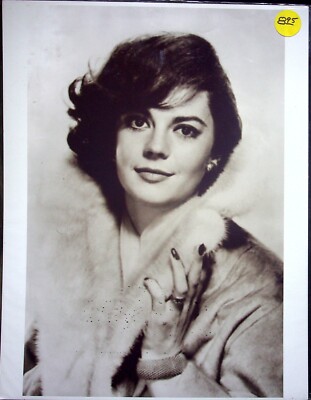 Vintage Natalie Wood Celebrity Portrait Photo 8x11 | eBay