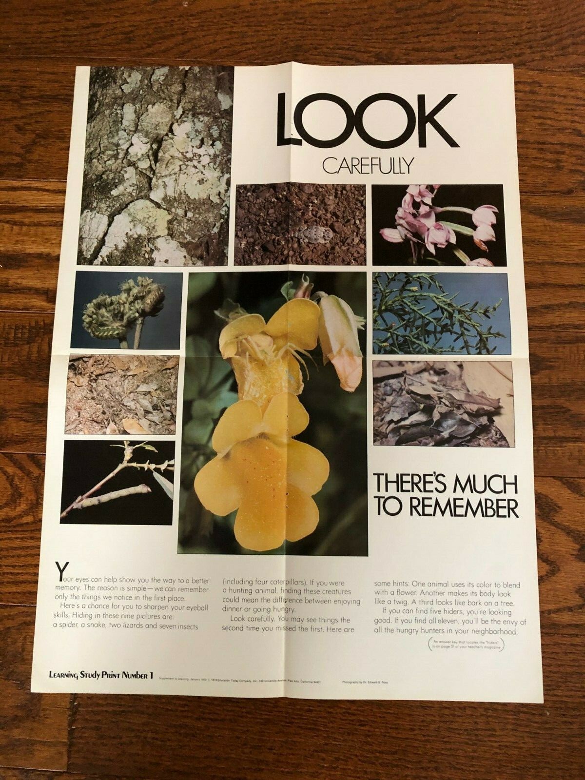 Vintage Look Carefully Poster 1974 Learning Magazine Educational ...