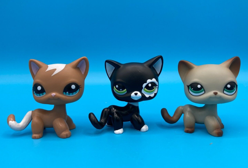 Littlest Pet Shop Black Shorthair Kitty Cat Green Eyes #2249 Set LPS ...