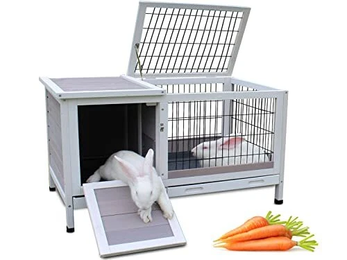Indoor Rabbit Run