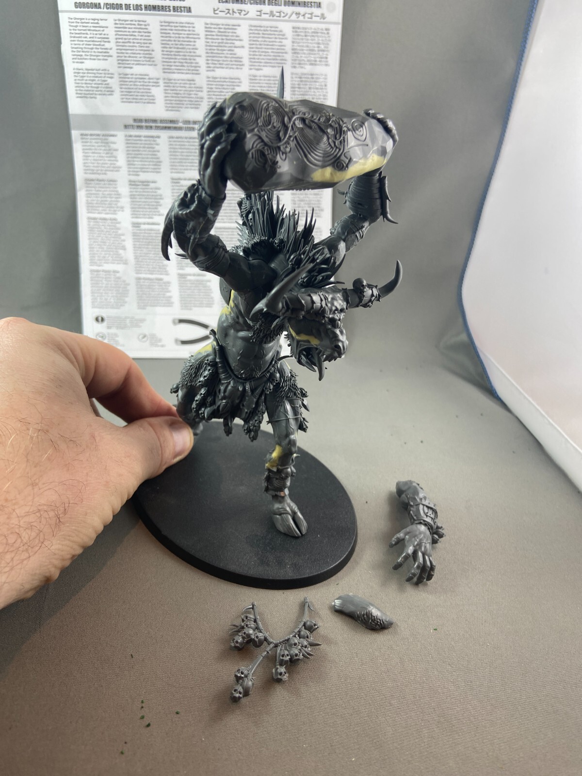 Cygor Cyclops Giant Ghorgon Beastmen Beasts of Chaos Age of Sigmar ...