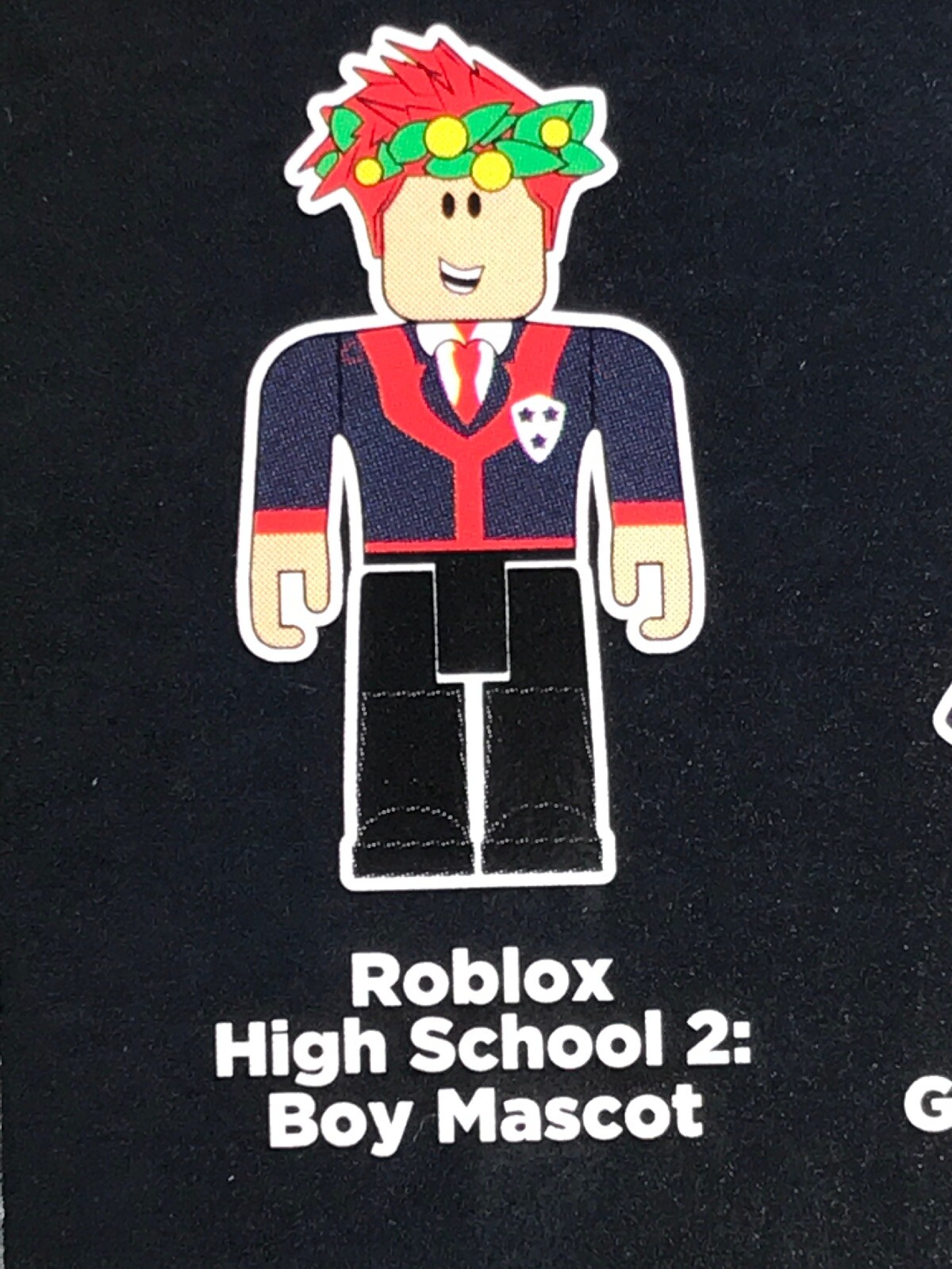 Roblox Blind Series 7 Black Box Figure Roblox High School 2: Boy Mascot ...