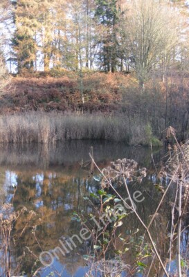 Photo 6x4 Lake near Atkinson's Bog Coneysthorpe One of several small ...