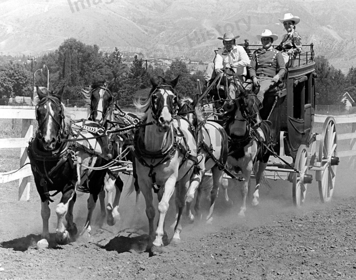 8x10 Print Monte Montana rodeo trick rider and trick roper, actor # ...