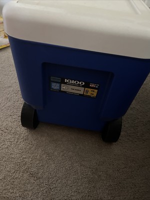 Igloo Ice Box 36 Liter | eBay