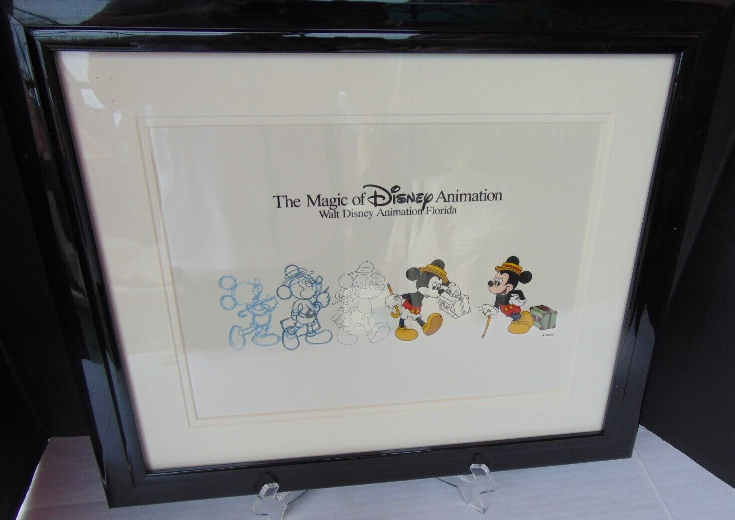 Disney Animation Frames