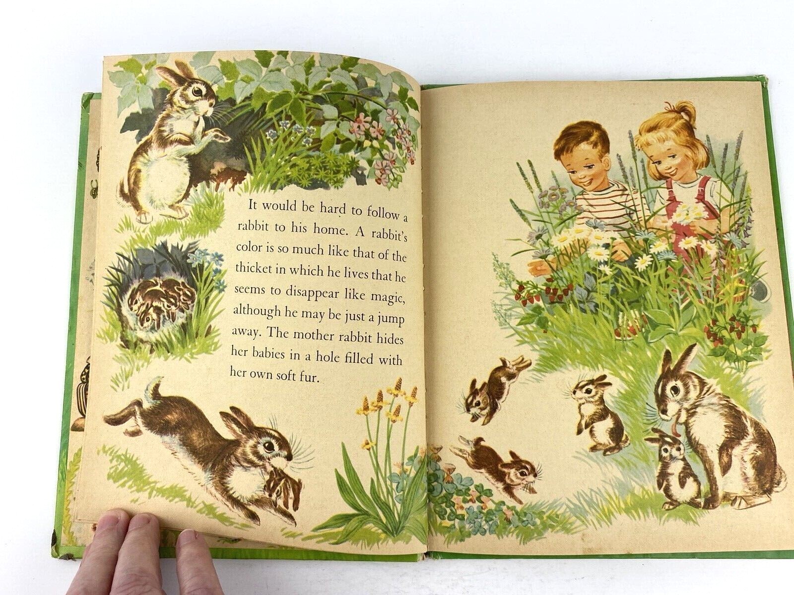 This Magic World Cynthia Koehler Wonder Books Vintage Childrens Book ...